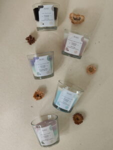 SOEL – Rated #1 Merchandising Brand in Gujarat – Rated #1 Merchandising ...