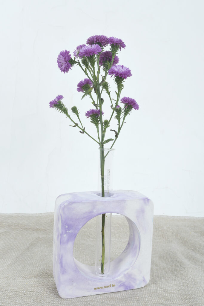 Test Tube Planter - SOEL - Rated #1 Merchandising Brand in Gujarat
